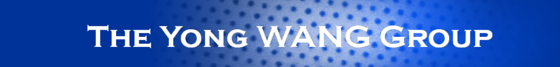 The Yong Wang Group